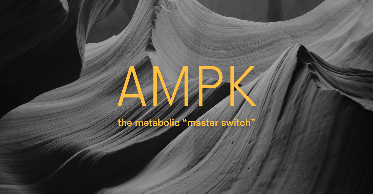 Essential Guide to AMPK Activation for Enhanced Metabolic Function