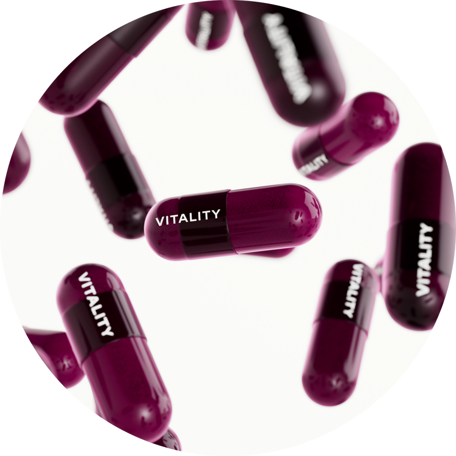 Tally Monthly Membership