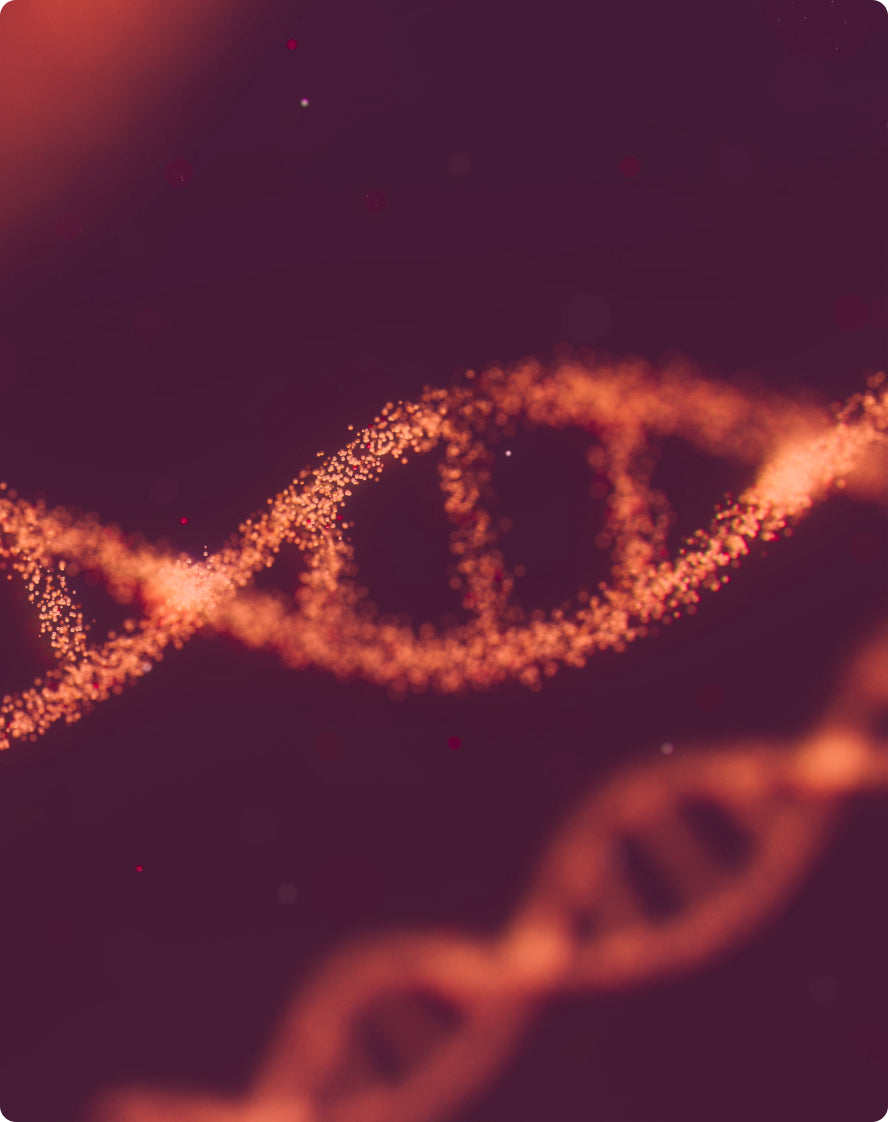 Tally Health — Welcome to a New Age.